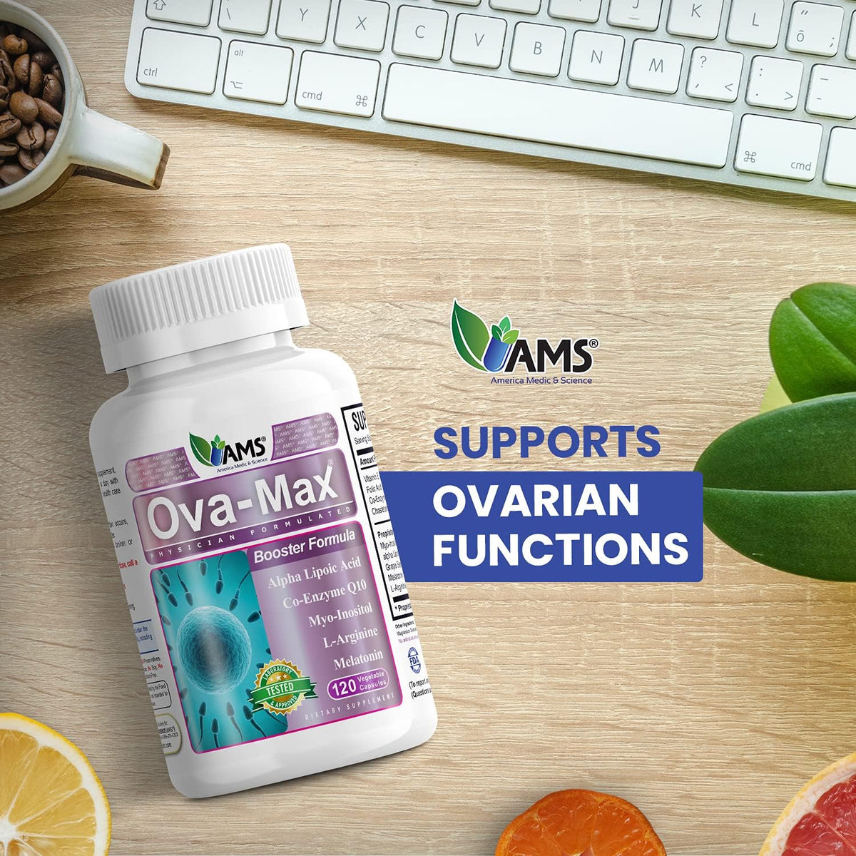 Buy AMS Ova Max Capsules 120 PC | Order Online